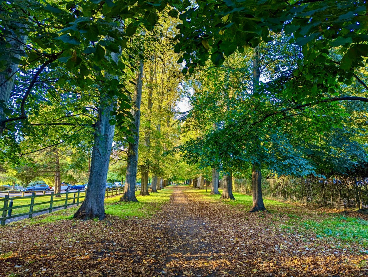 Register Online - RMS for Girls